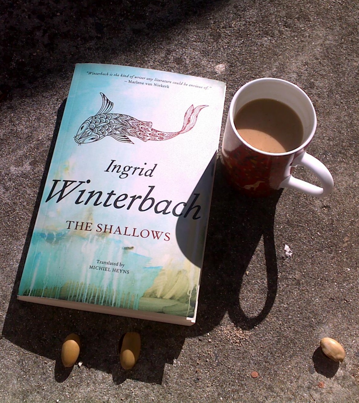 Book review: The Shallows by Ingrid Winterbach | Karina Magdalena