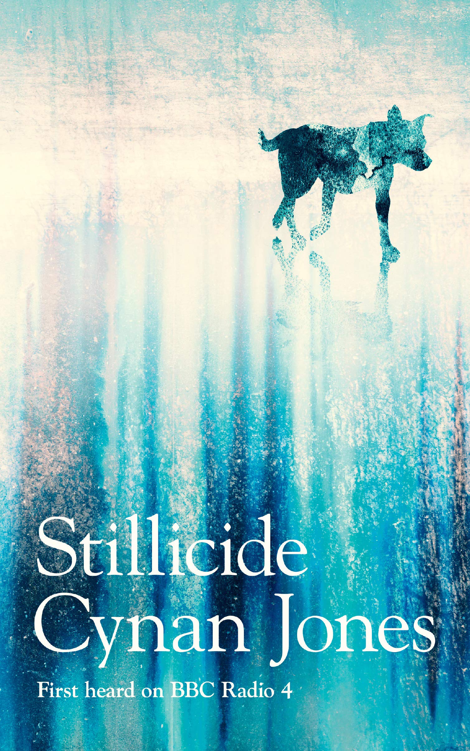 Review: Stillicide by Cynan Jones | Karina Magdalena